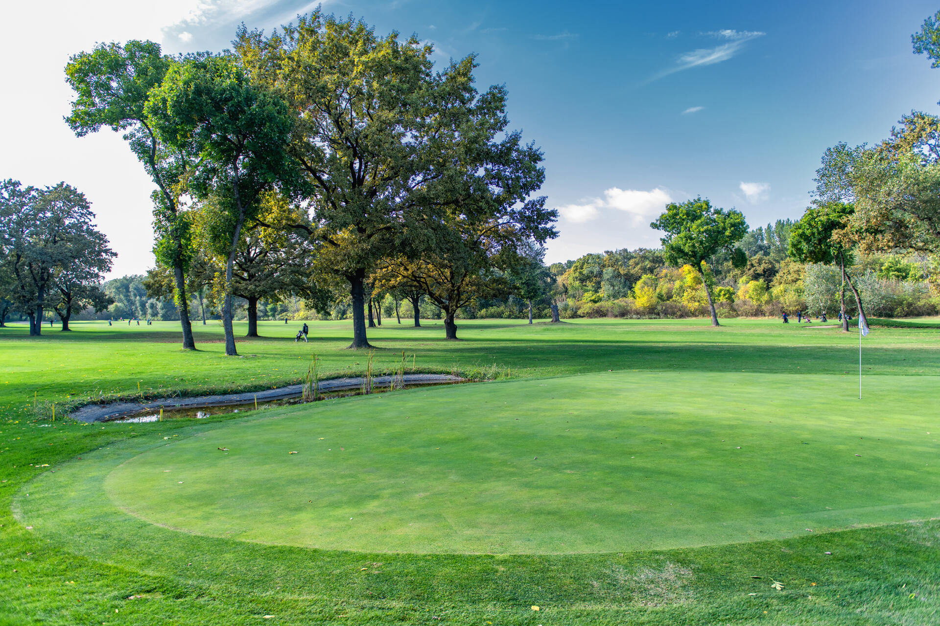 Beograd Golf Club | Fade