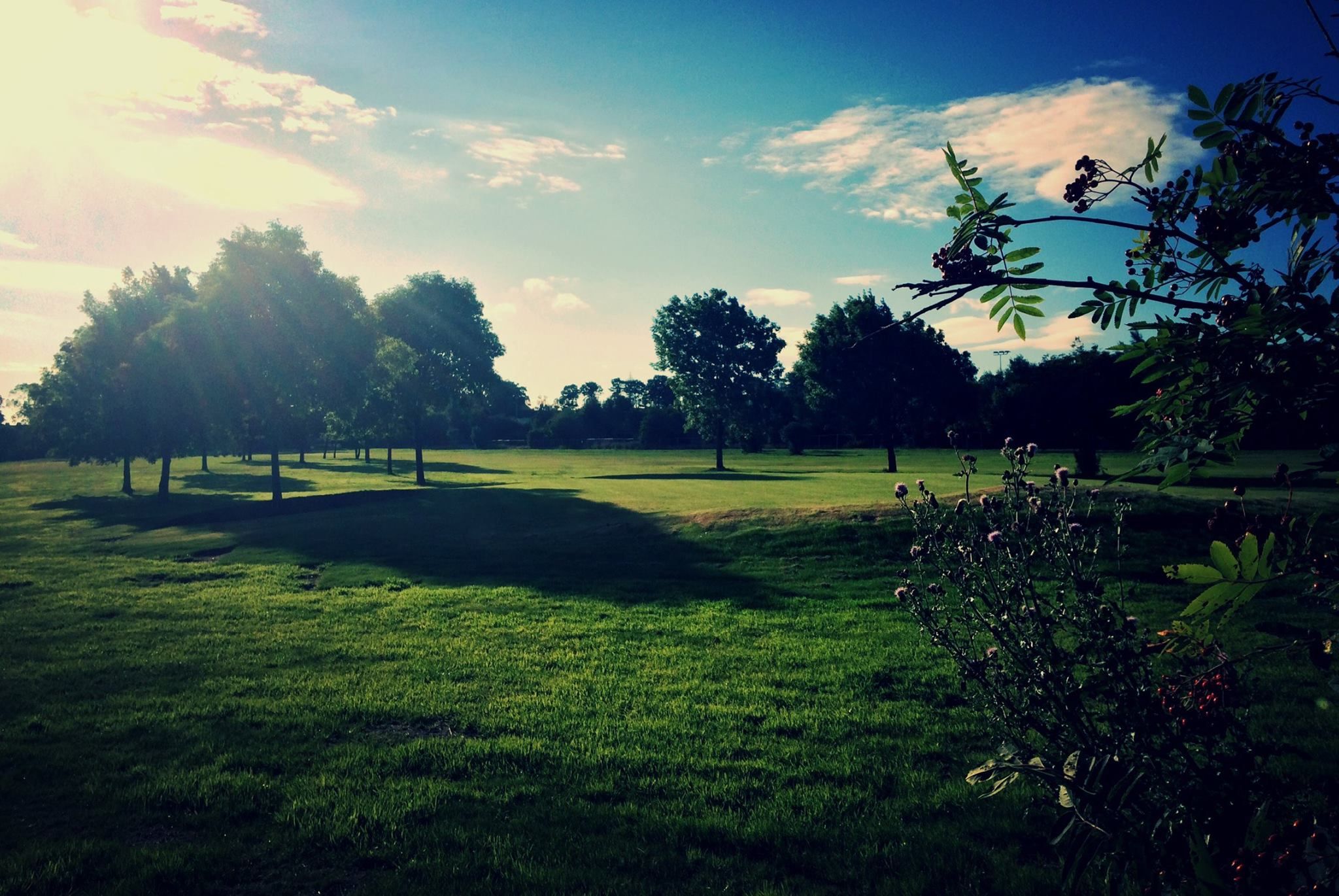 Portobello Golf Club | Fade